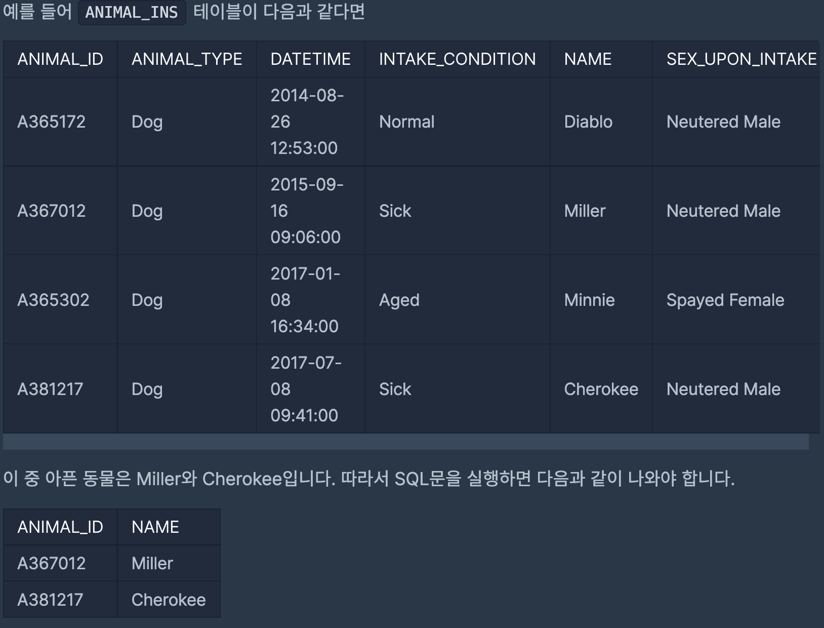 [SQL] SELECT 〉 Lv1. 아픈 동물 찾기